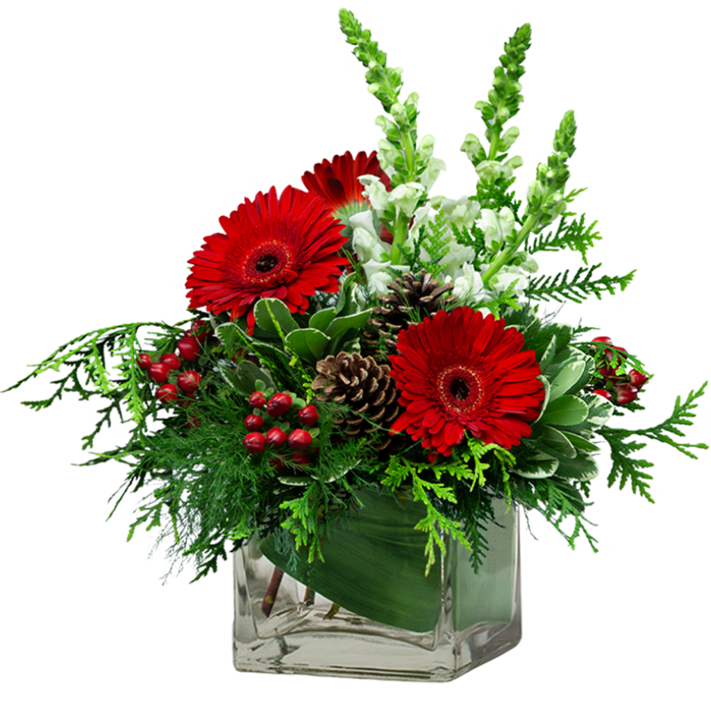 Cheerful Berry | Art Flower & Gift Shoppe